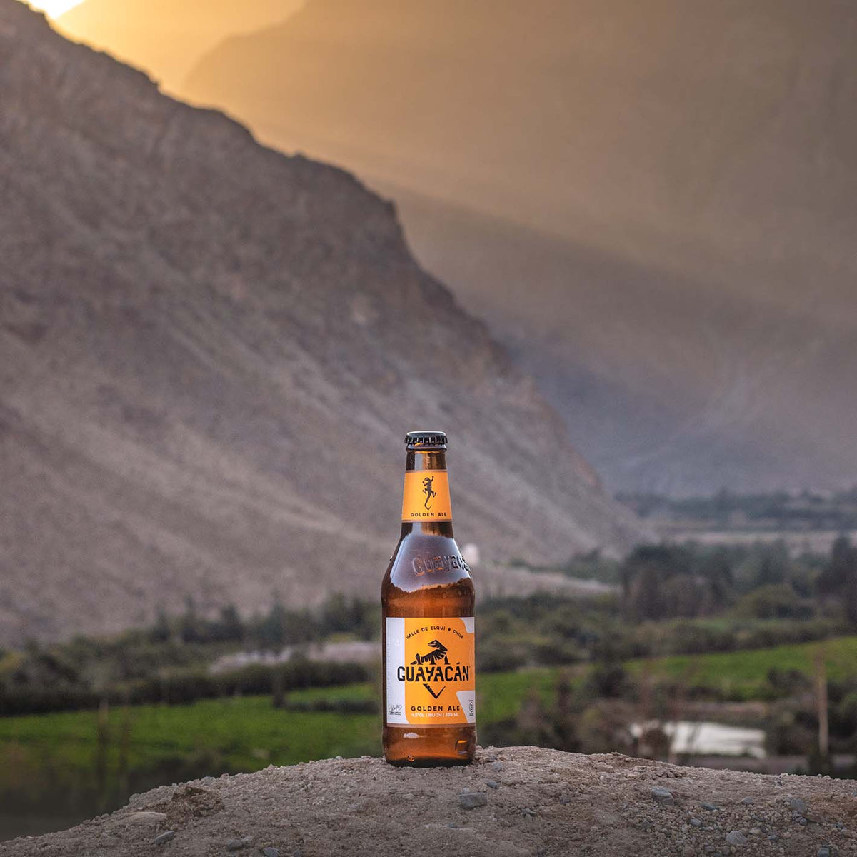 Golden Ale 24 unidades 330cc – Cervecería Guayacán